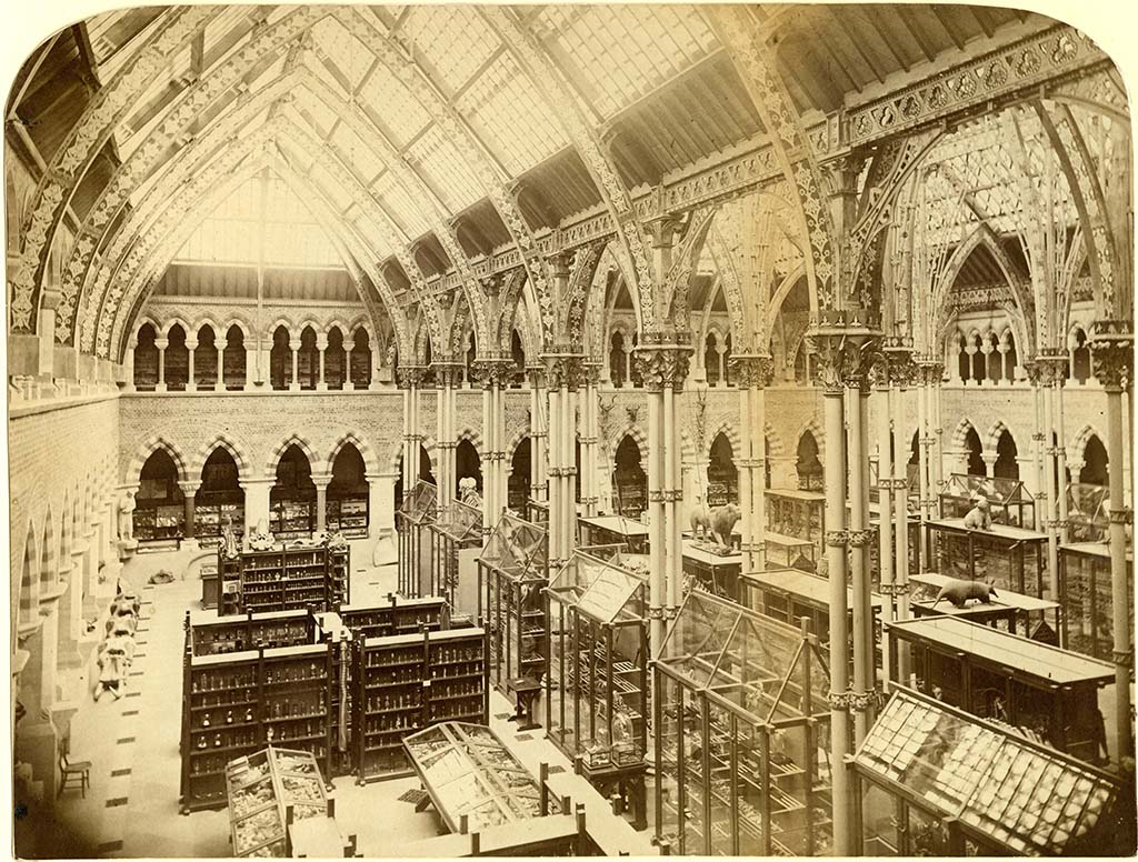 (Reading) Up on the roof – More Than A Dodo