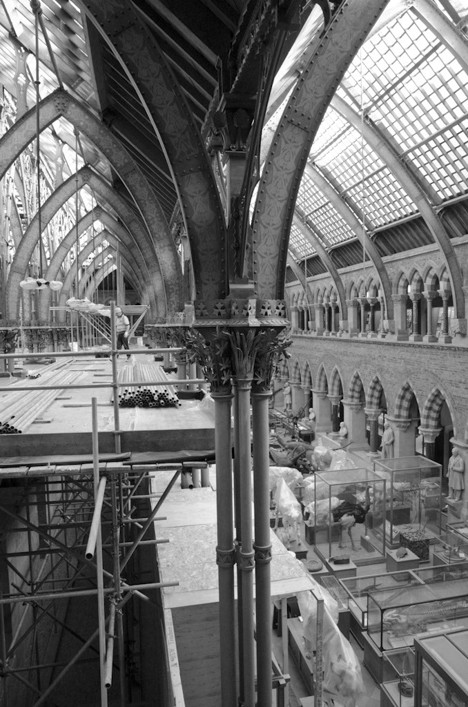 Charles Lyell’s Friends and Family – More Than A Dodo