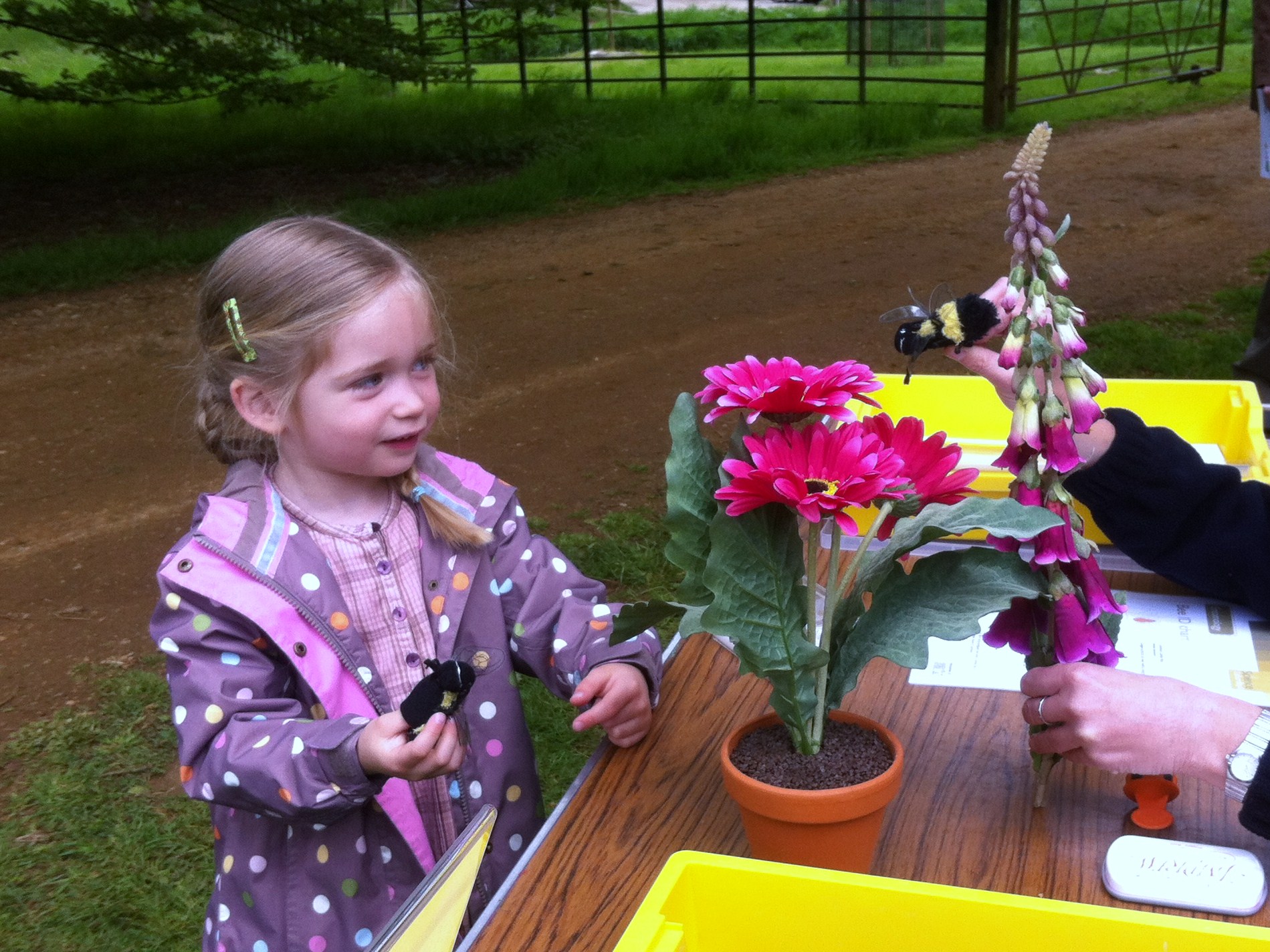 Fascinating Plants – More Than A Dodo