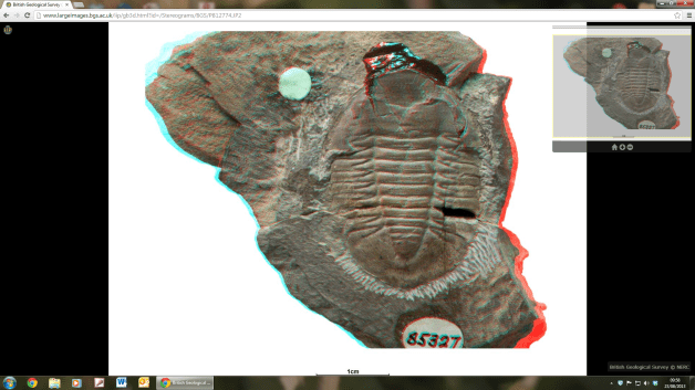 Seeing prehistoric life in 3D – More Than A Dodo