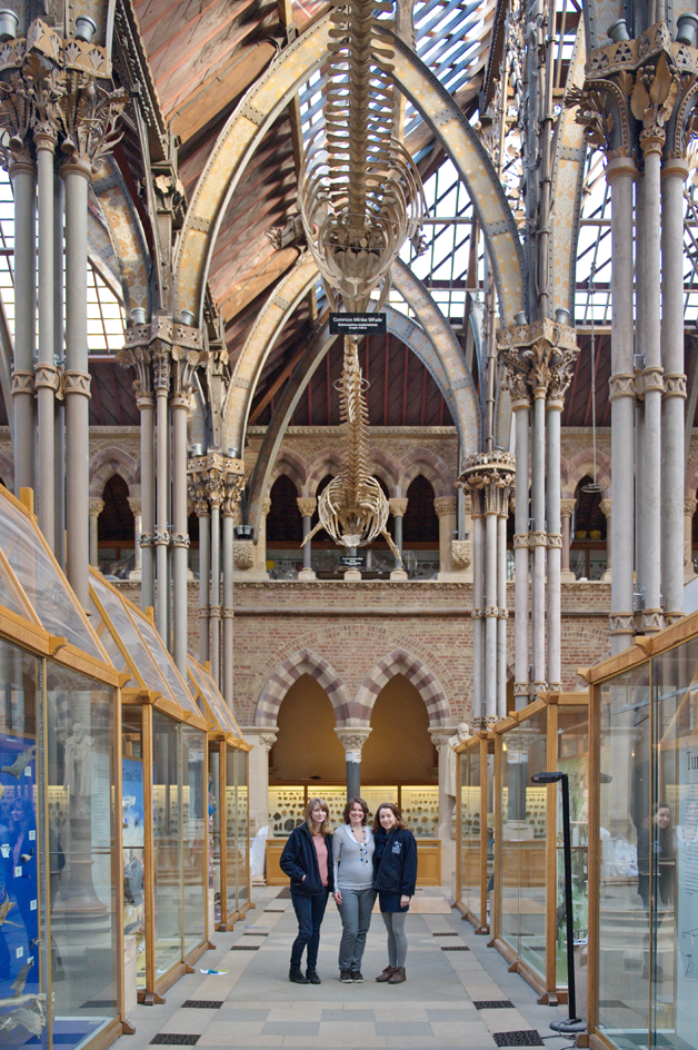 An ever-evolving museum – More Than A Dodo