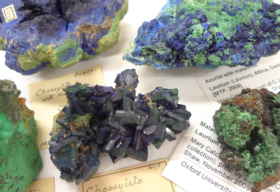 A splash of prehistoric colour – More Than A Dodo