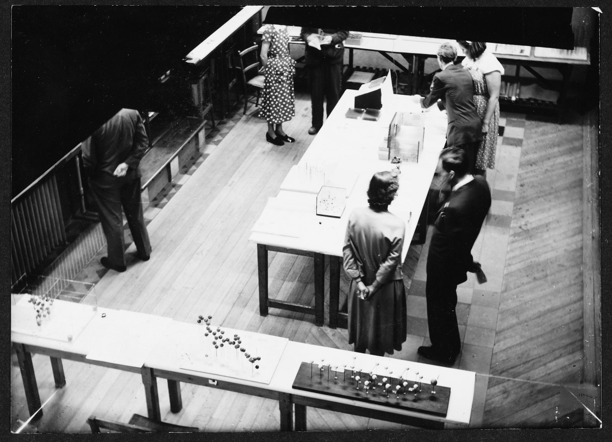 An Eye for a Pattern – More Than A Dodo