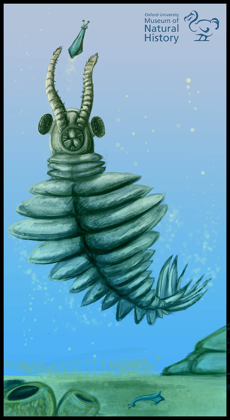 Drawing on the past – More Than A Dodo