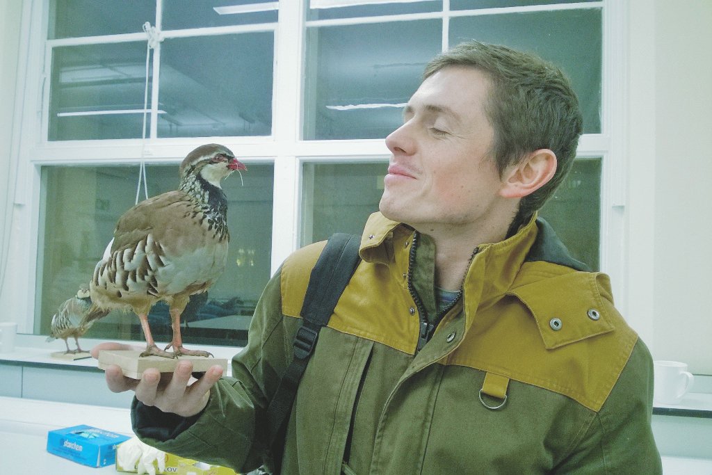 Partridge in a laboratory – More Than A Dodo