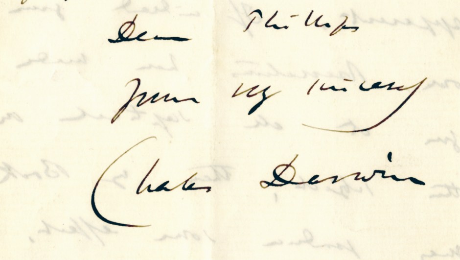 “My dear Phillips…” – More Than A Dodo