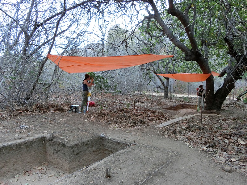 Climbing down the primate family tree – More Than A Dodo