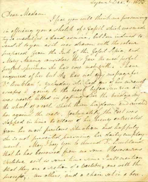 Tales from the Jurassic Coast – More Than A Dodo