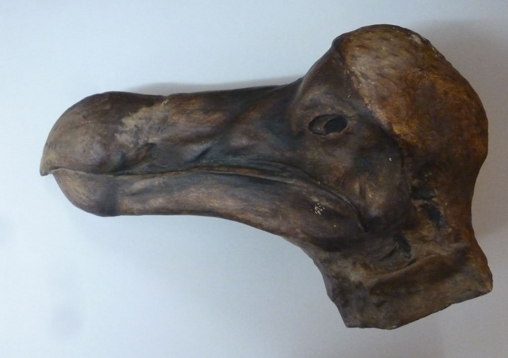 ‘Flight’ of the Dodo – More Than A Dodo