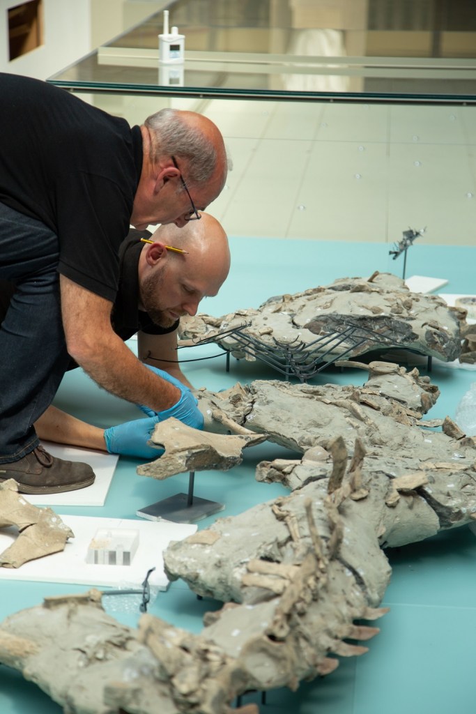 How to build a plesiosaur, in 836 easy steps – More Than A Dodo