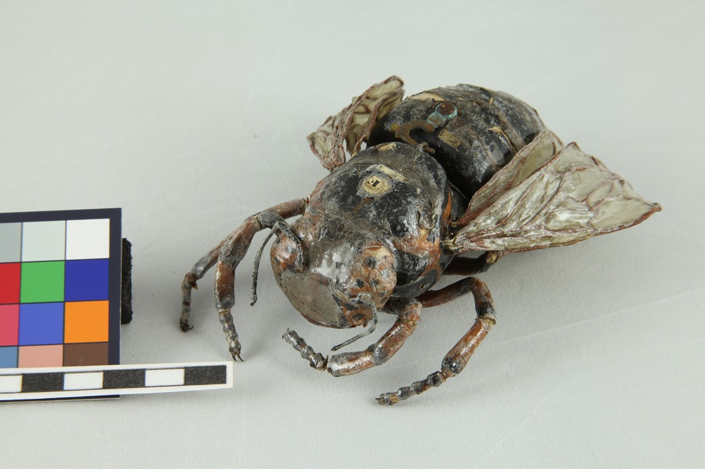 Bee beautiful – More Than A Dodo