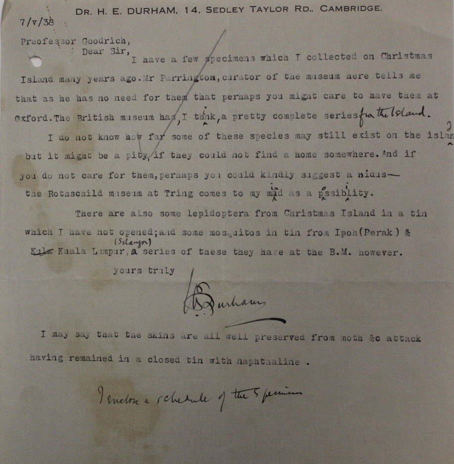 Presenting… Christmas Island – More Than A Dodo