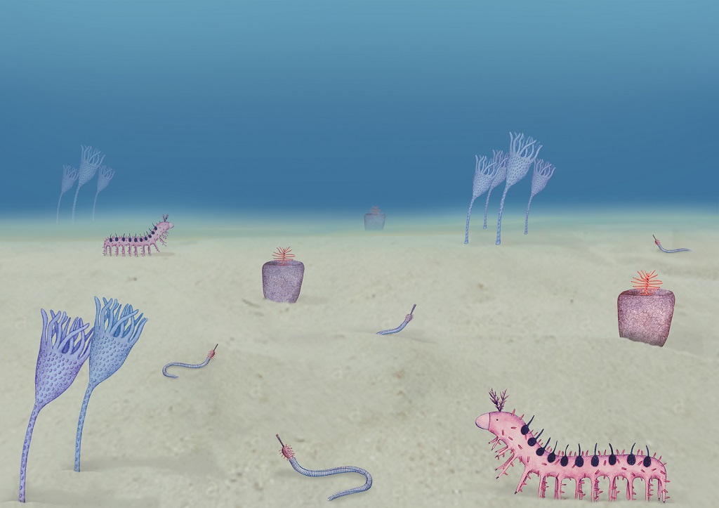 Cambrian creation – More Than A Dodo