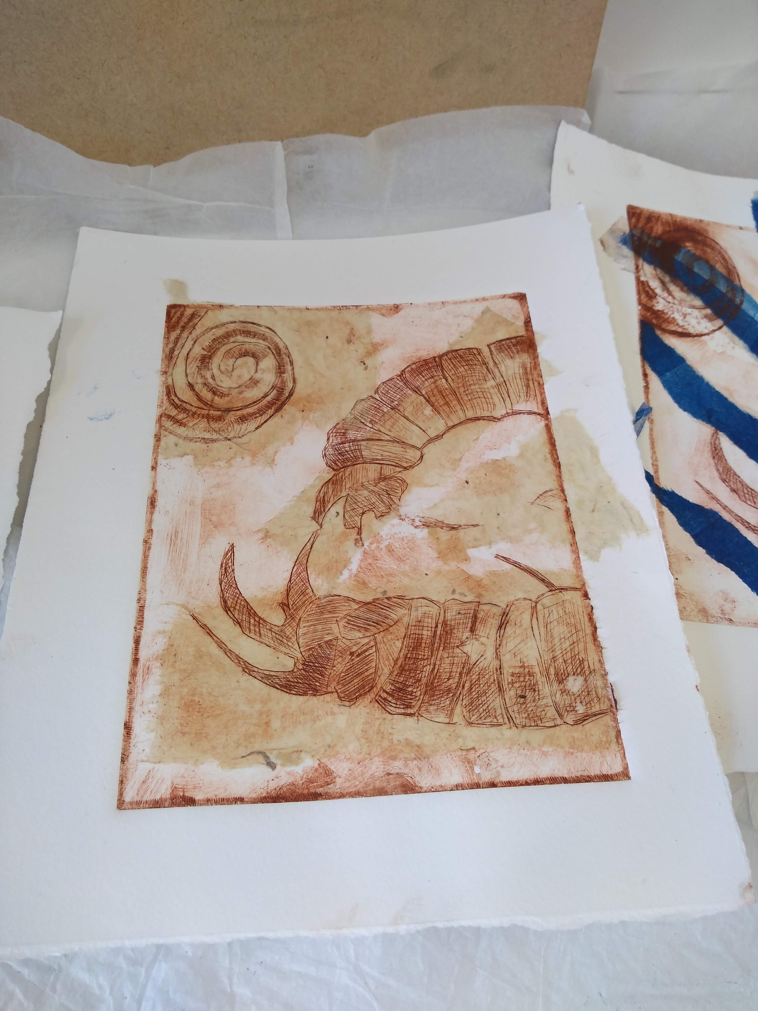 First Impressions: exploring early life through printmaking – More Than ...