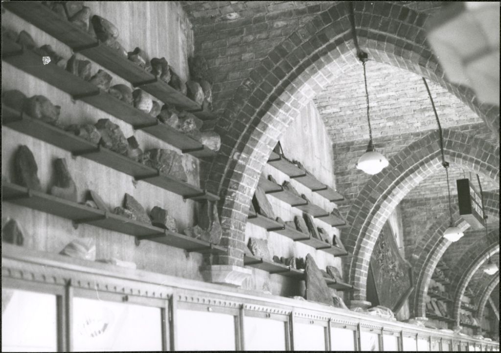 An ever-evolving museum – More Than A Dodo