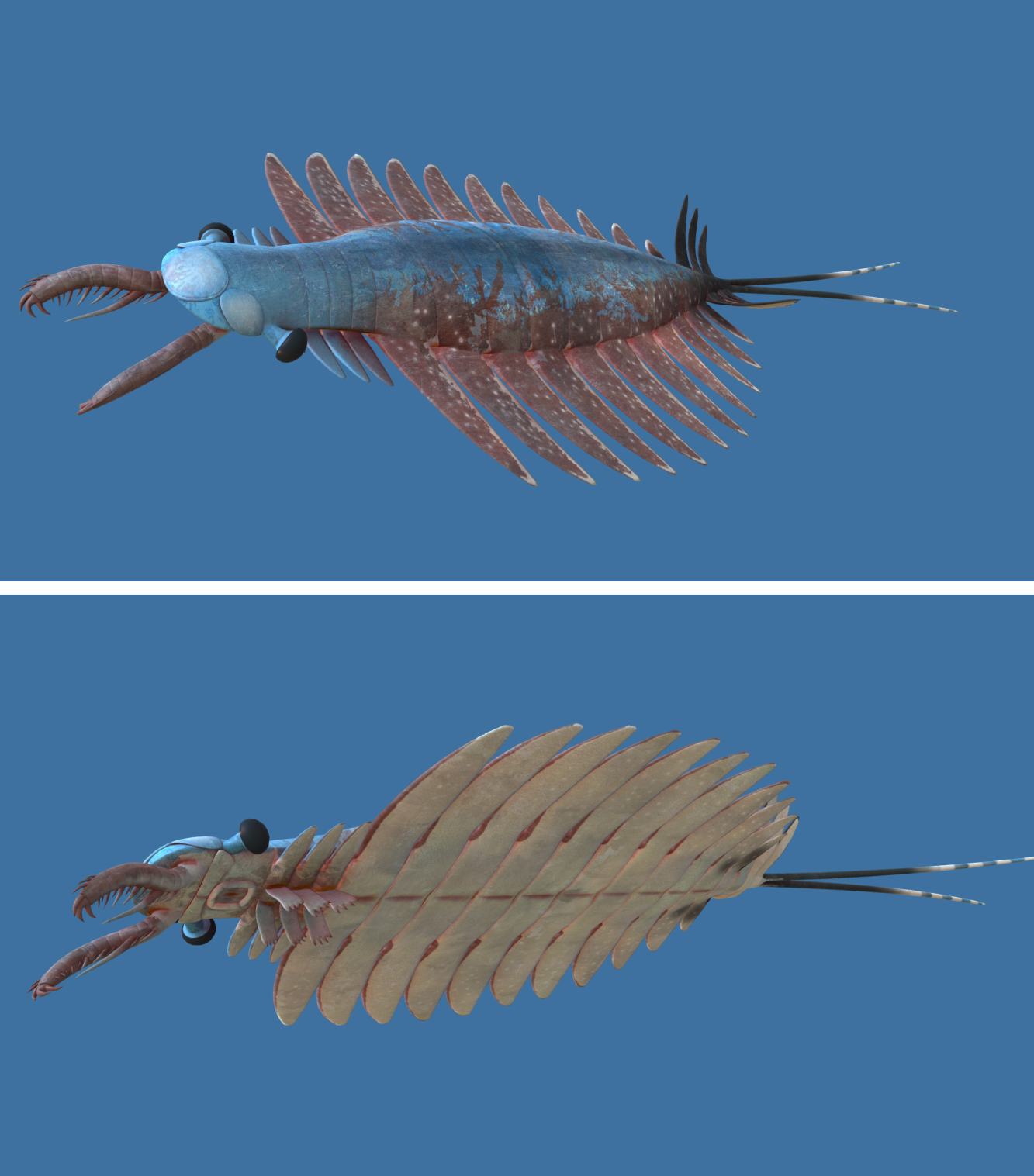 Diving into deep time – More Than A Dodo