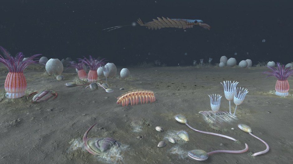 Diving into deep time – More Than A Dodo