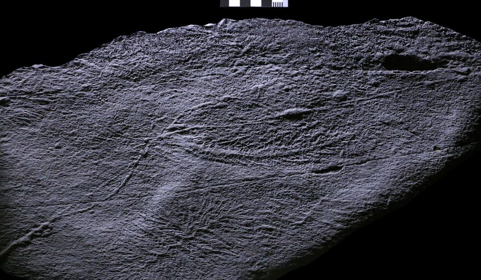 Uncovering ancient threads – More Than A Dodo