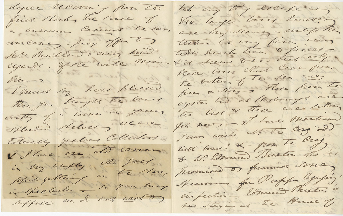Anna Gurney and the geology of the Norfolk coast – More Than A Dodo