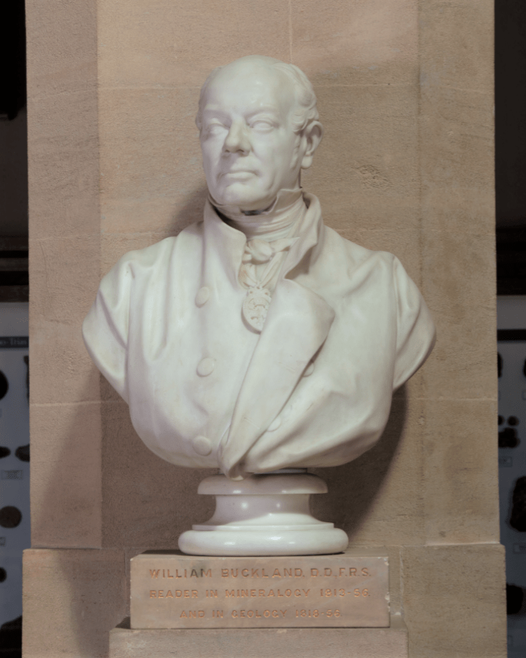 Library and archives – More Than A Dodo