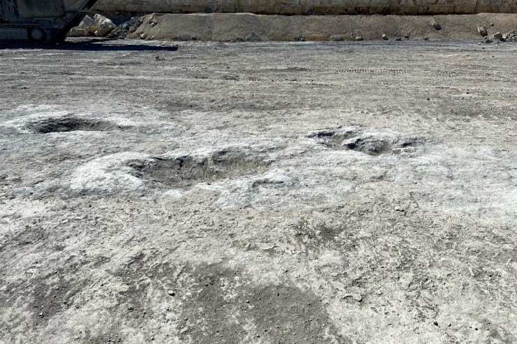 Back to the Jurassic Highway – More Than A Dodo