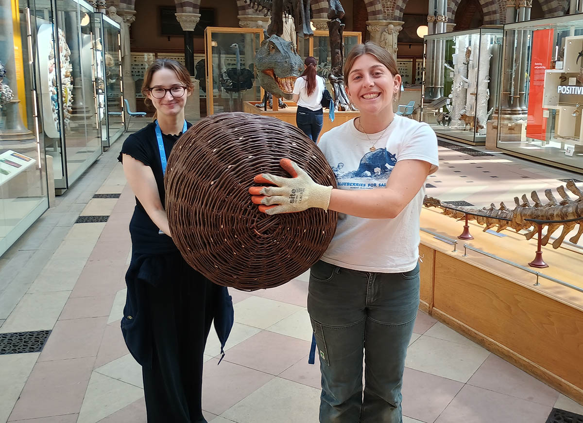 ‘Deadly Six’ deinstall – More Than A Dodo